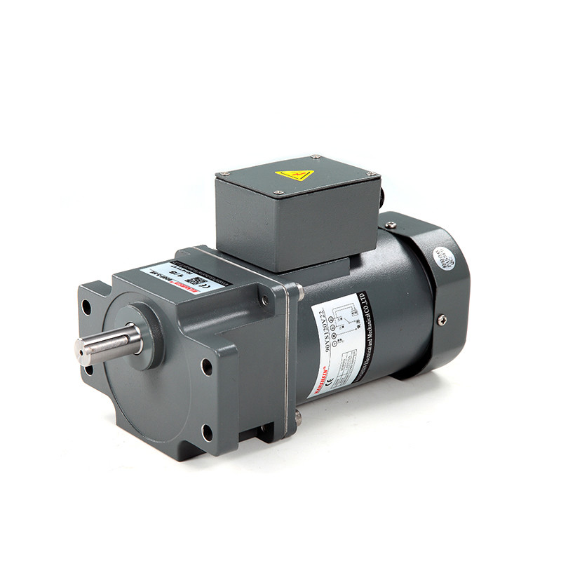 Low Fatigue 0.11Nm Small Torque Motor 250 Watt Gear Motor